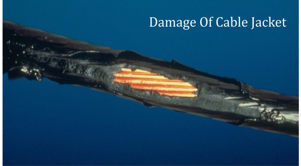 Cable Has Limits! - Care4Cable